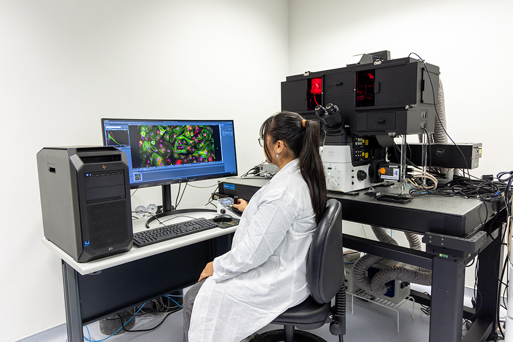 Bioimaging Platform | 香港兒童醫院